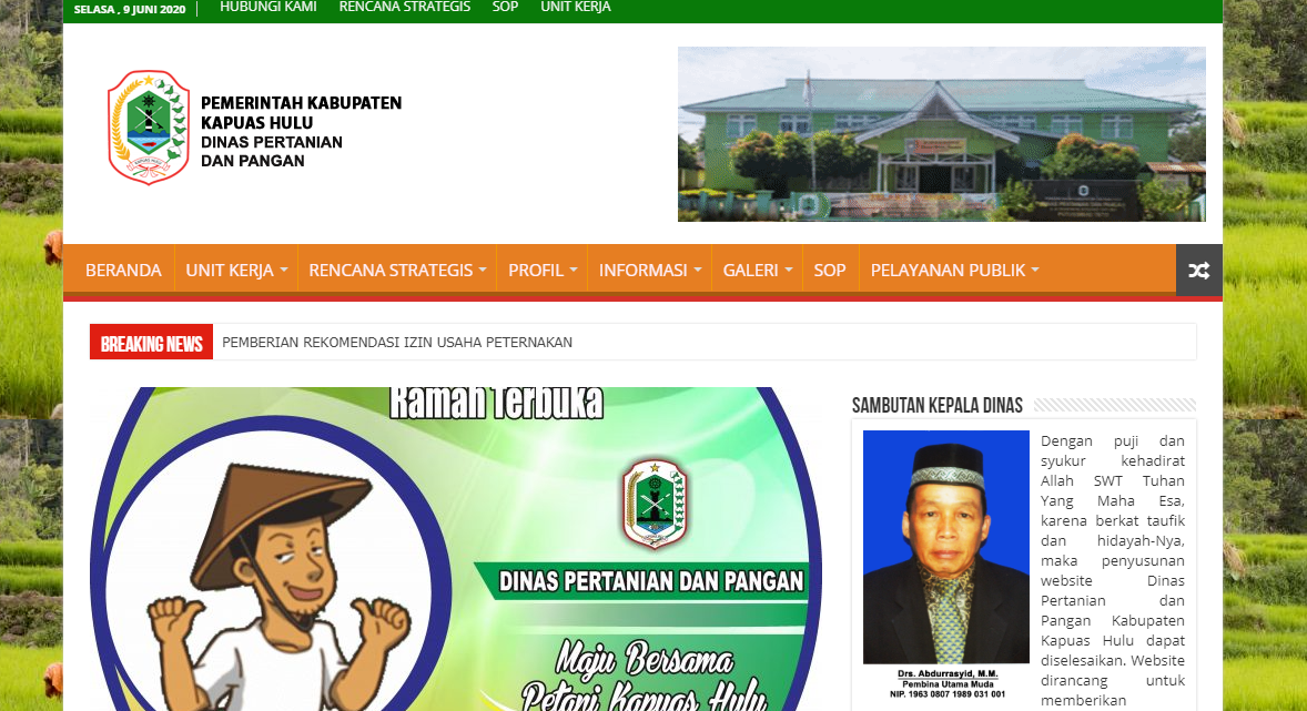 Pembuatan Website Dinas Instansi